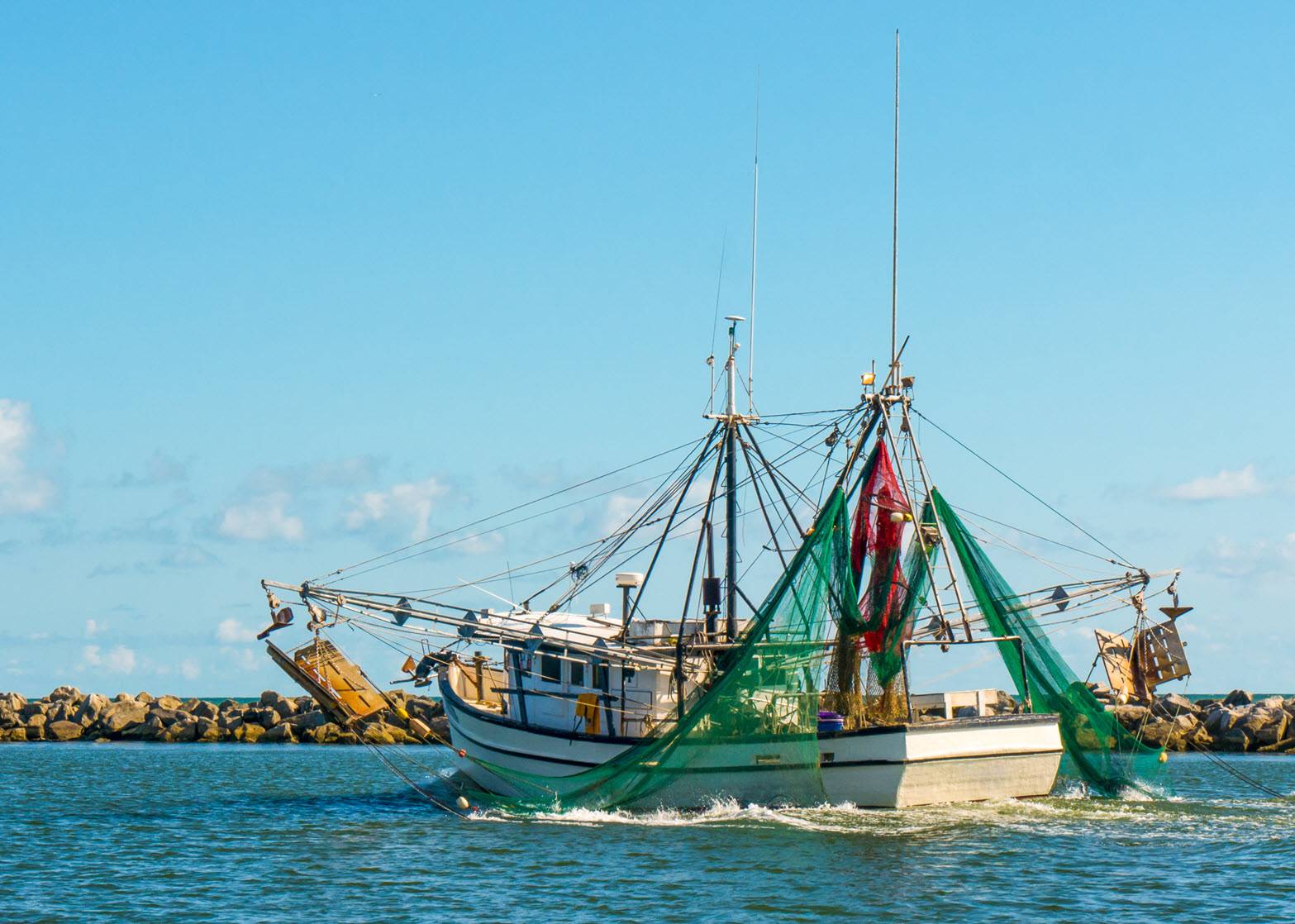 BOEM Finalizes Offshore Wind Fisheries Mitigation BOEM Finalizes Offshore Wind Fisheries Mitigation