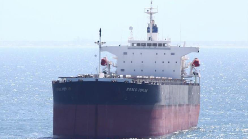 Pilotage Concerns Raised After Near Grounding In Great