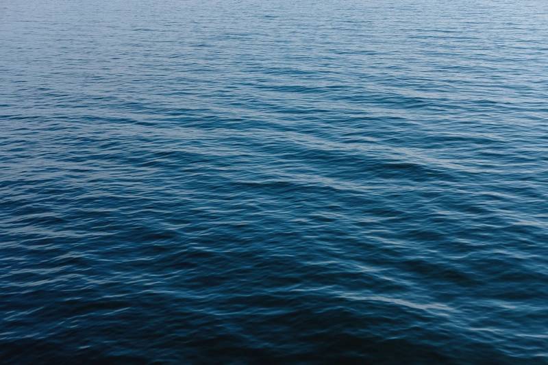 Deep Sea Mining Could Destroy Undiscovered Species, Deep Sea Mining Could Destroy Undiscovered Species,