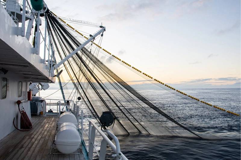 Lack Of Oversight Impacts U.S. Fishing Industry
