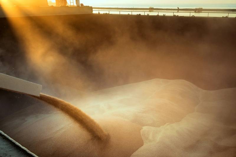Telesense Debuts Advanced Grain Monitoring System