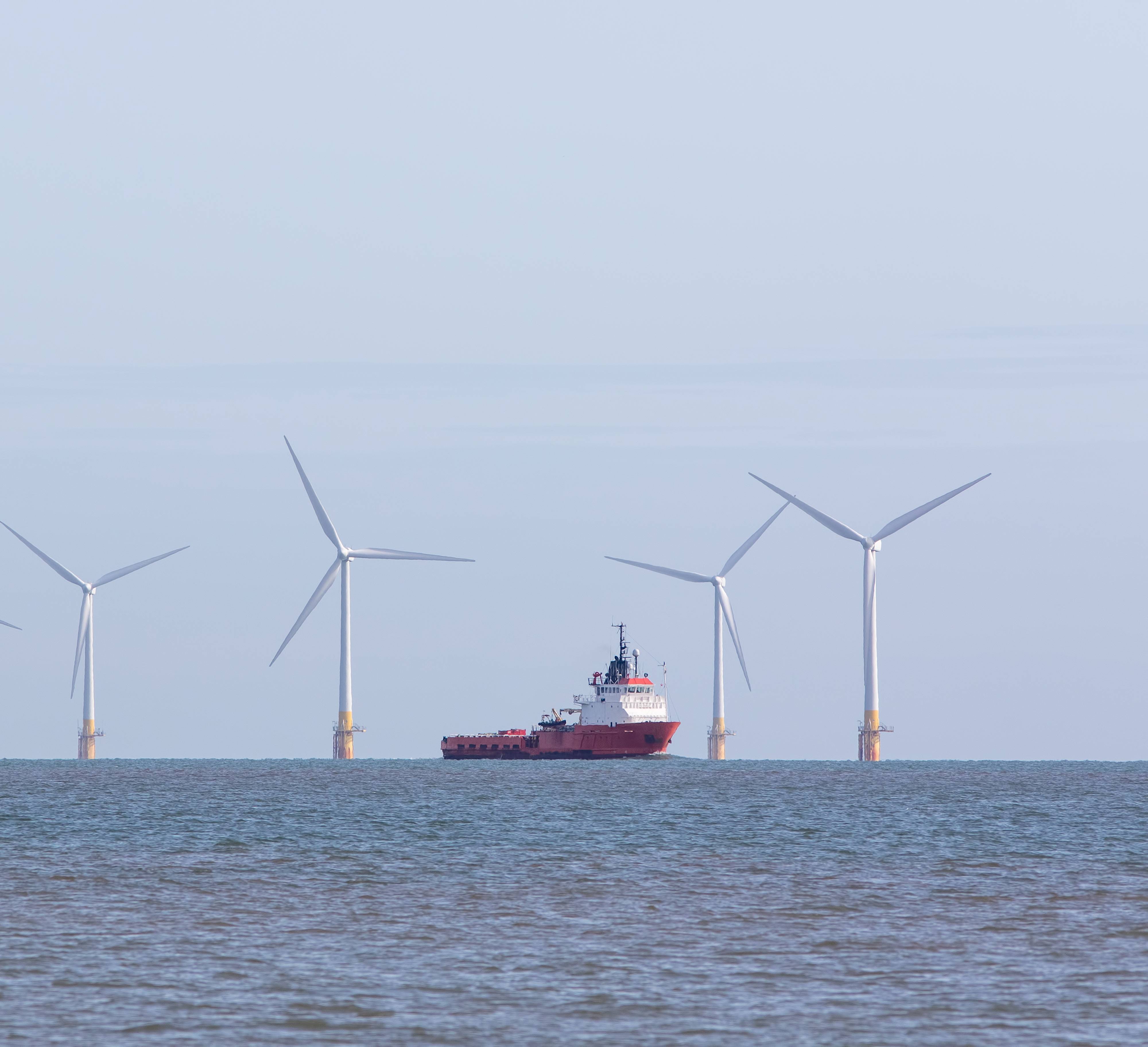 Designing Offshore Fleets that can Adapt, Endure