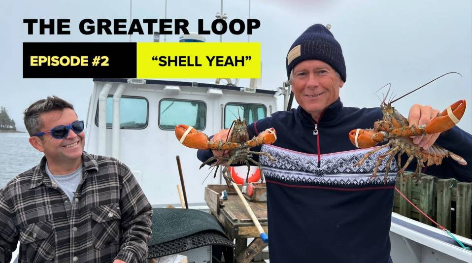 SHELL YEAH! - MarineLink